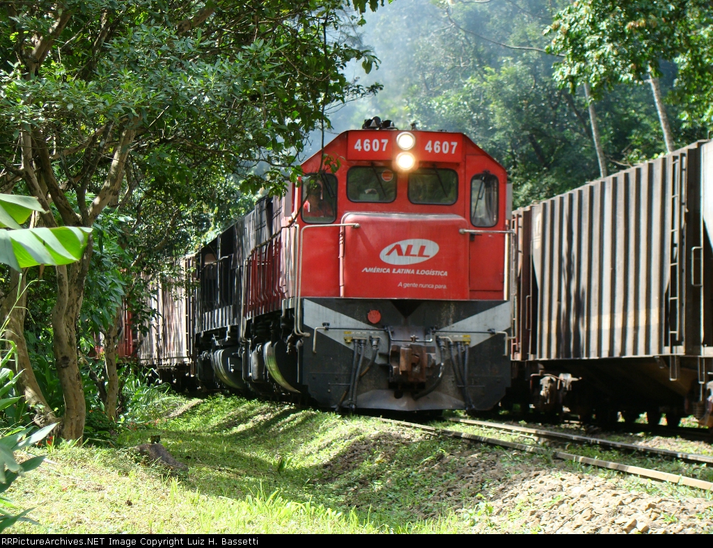GT22 4607