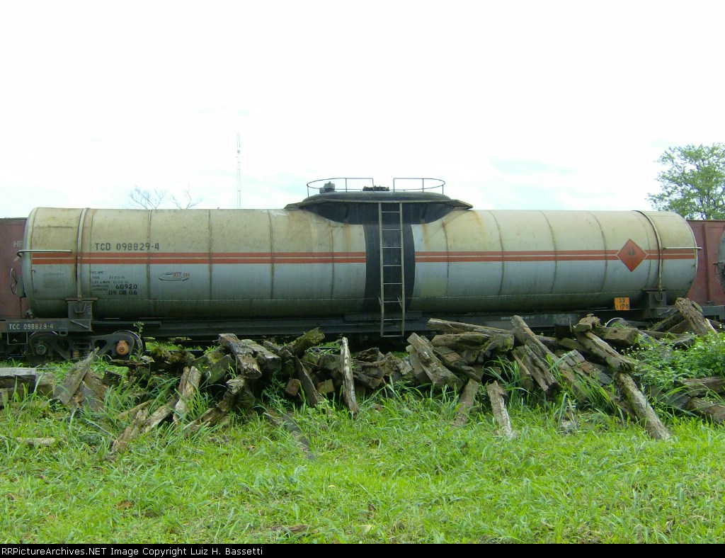 TCD-098829 PARTICULAR