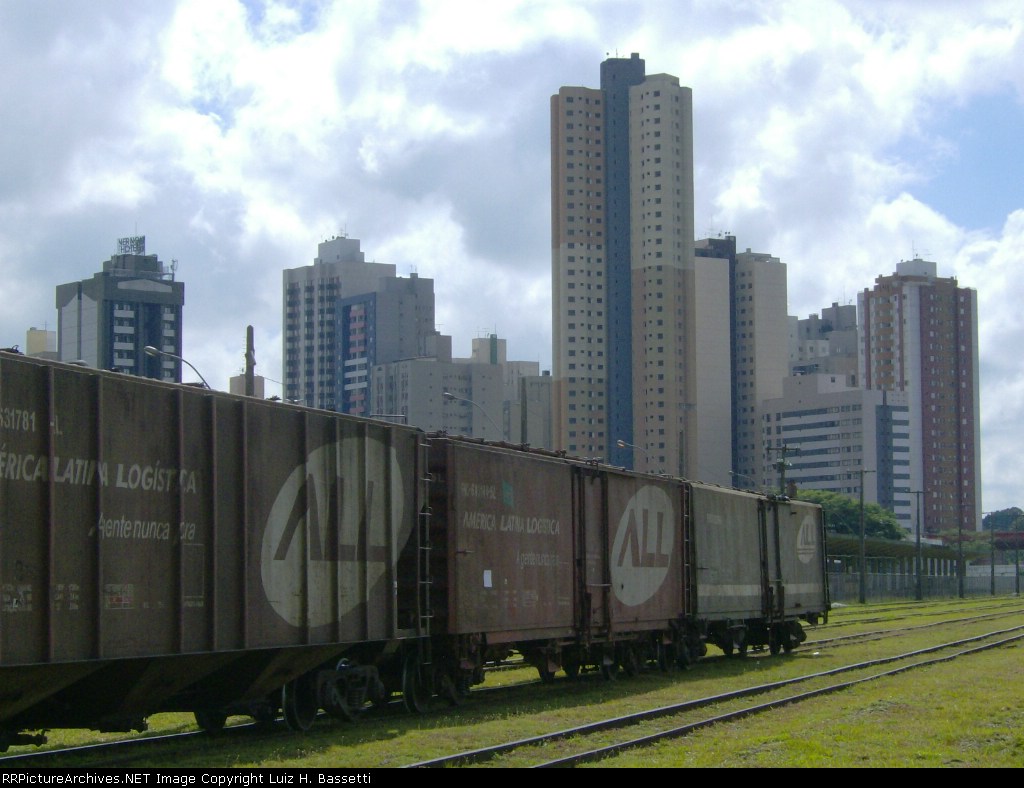 CURITIBA YARD