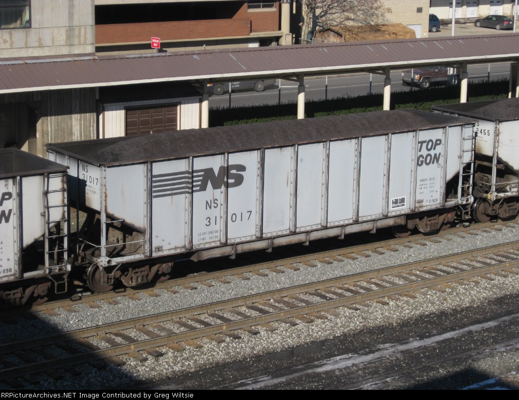 NS 31017