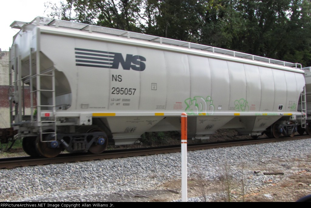 NS 295057