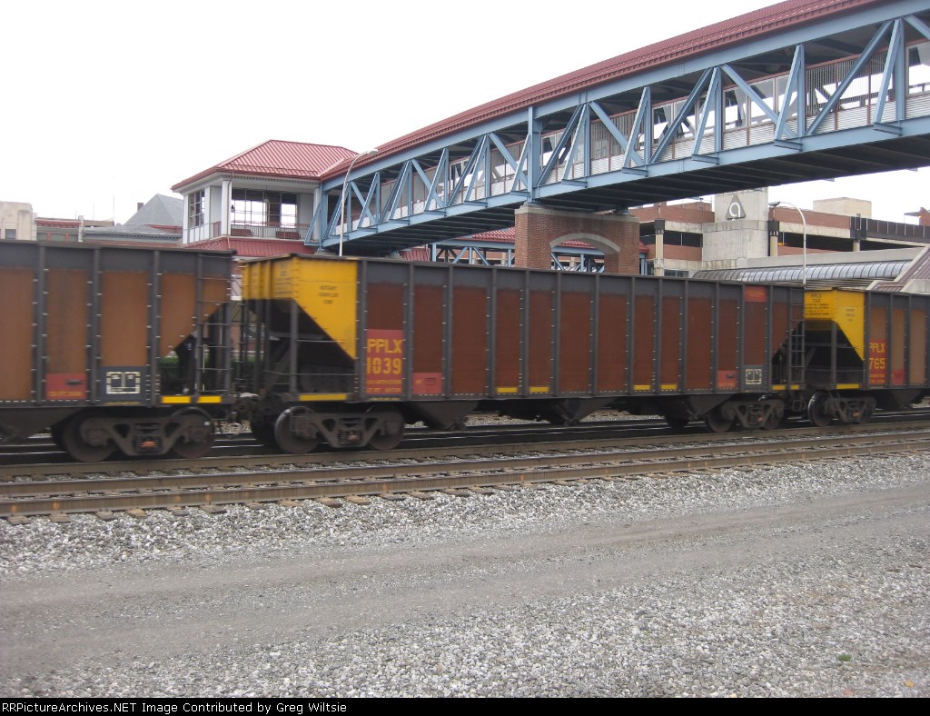 PPLX 1039