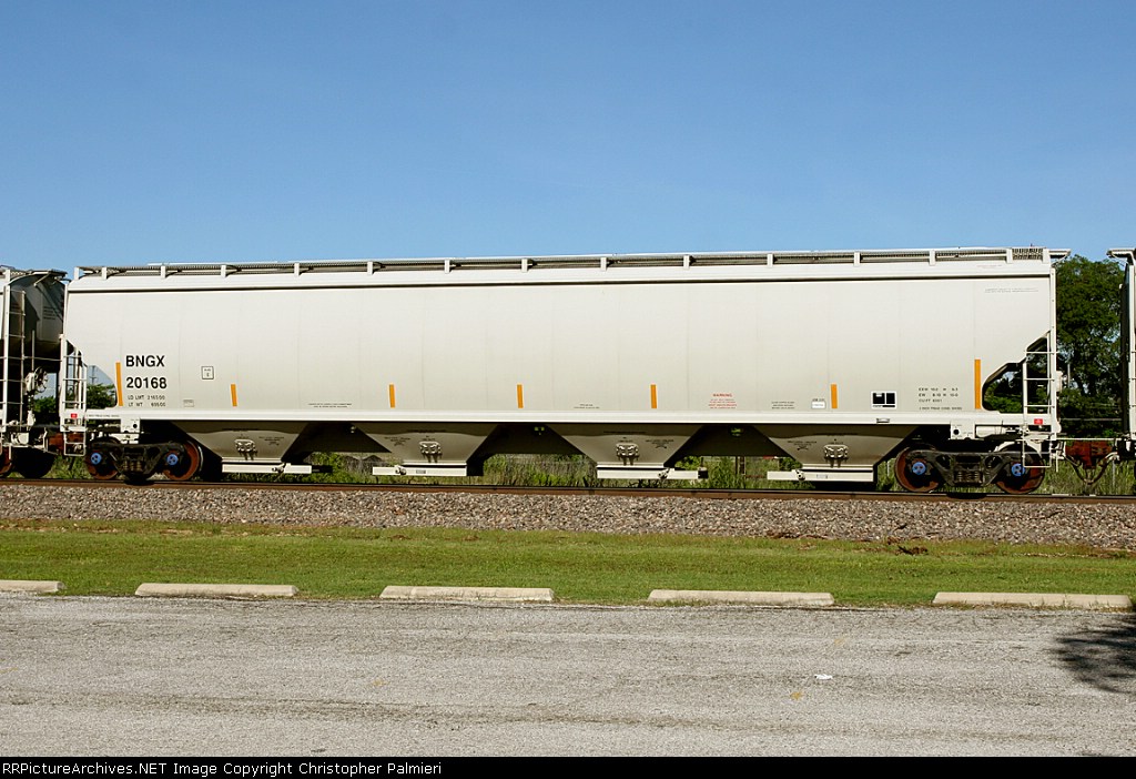 BNGX 20168