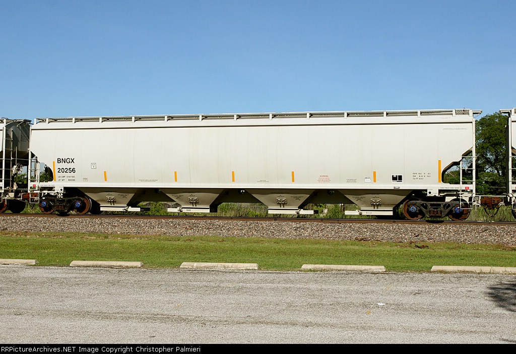 BNGX 20256