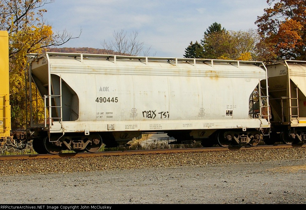 AOK 490445
