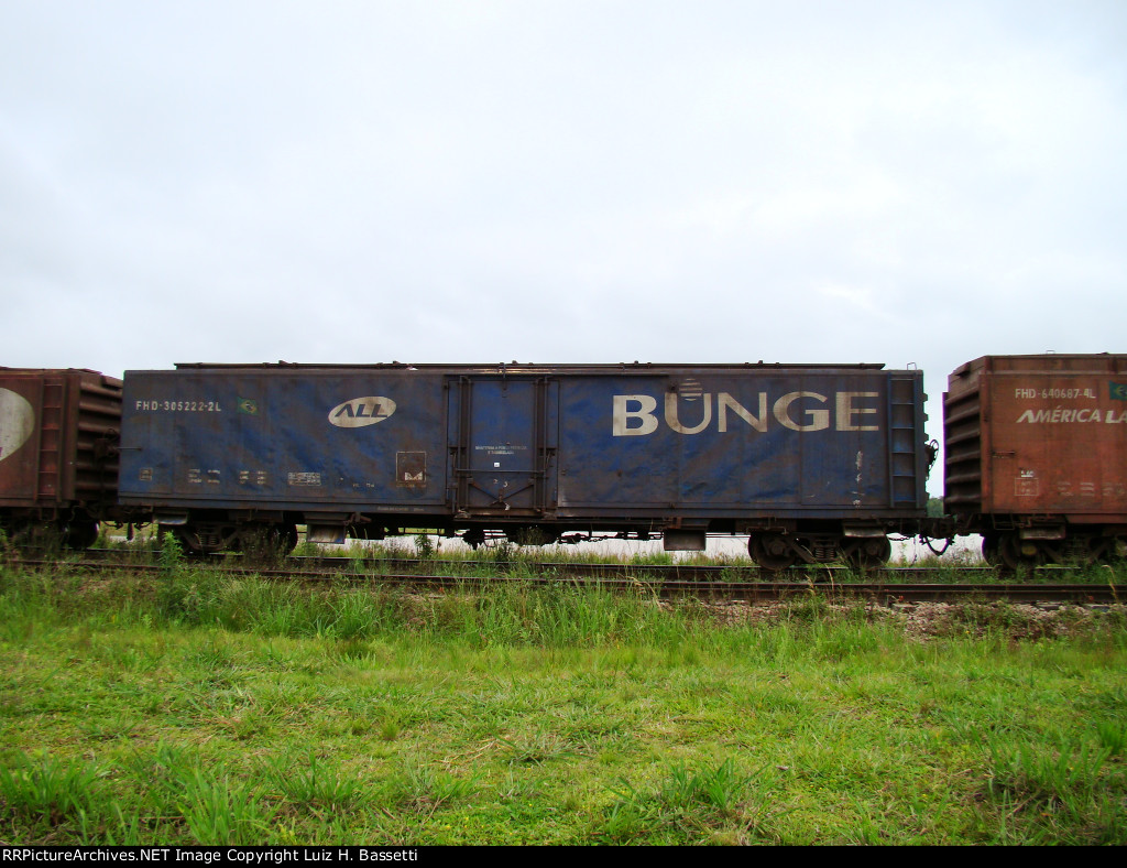 FHD 305222 / BUNGE