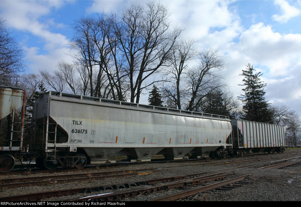 TILX 636175
