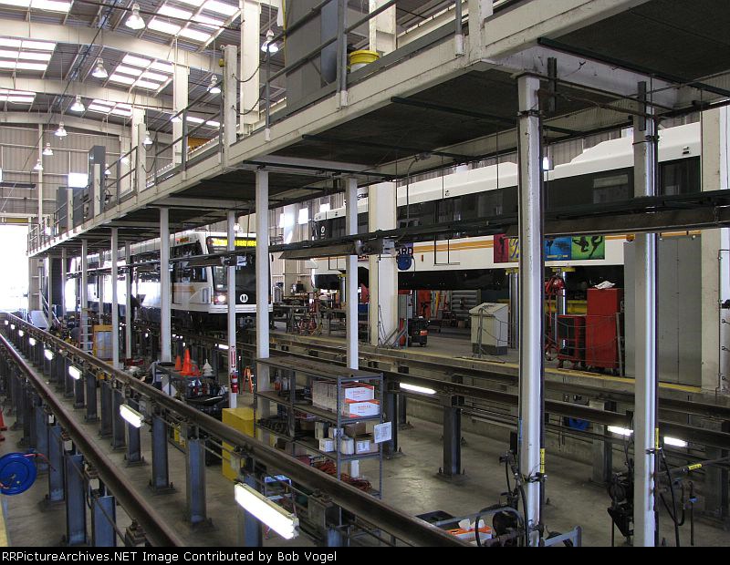 Gold Line shop