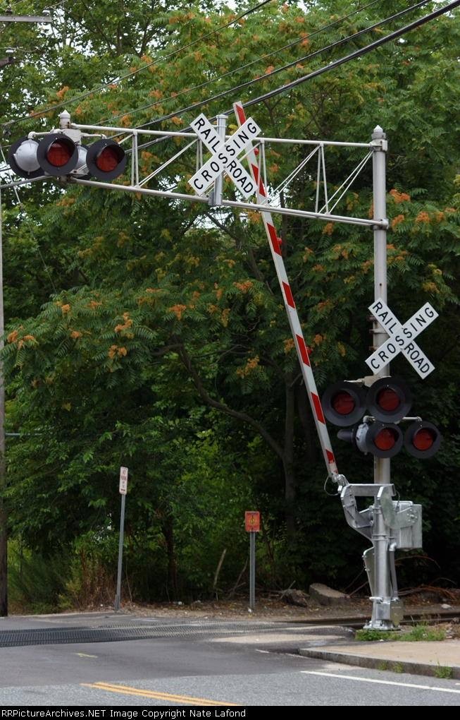 New Crossing Signals