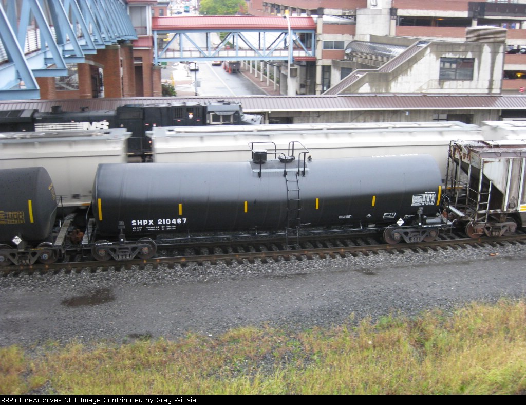 SHPX 210467