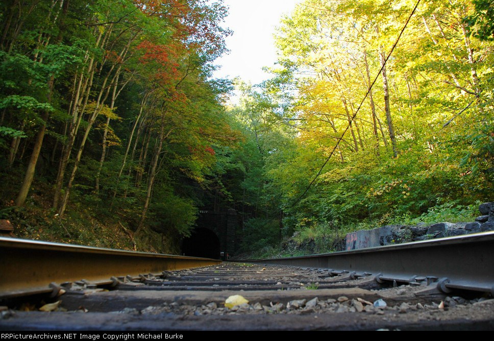 A view from down below!