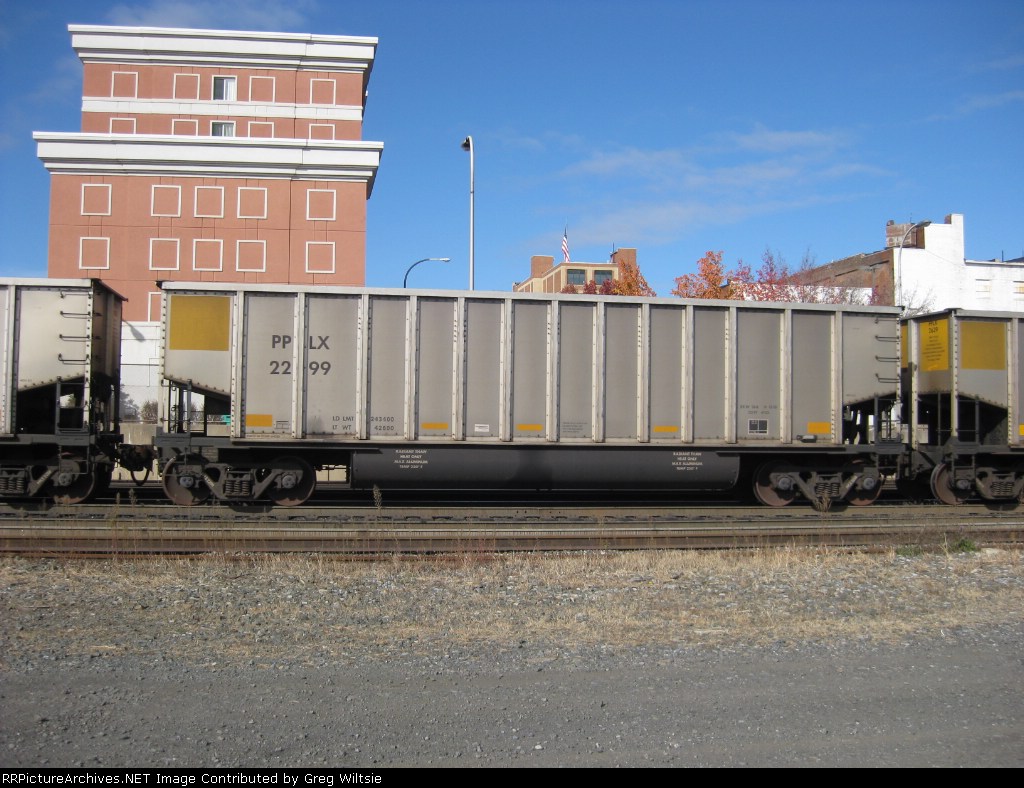 PPLX 2299