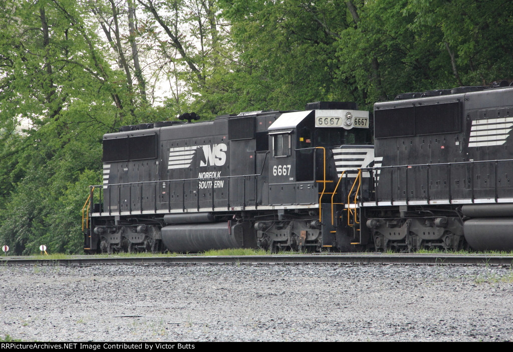 NS 6667