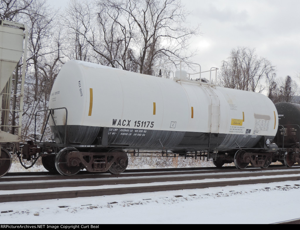 WACX 151175