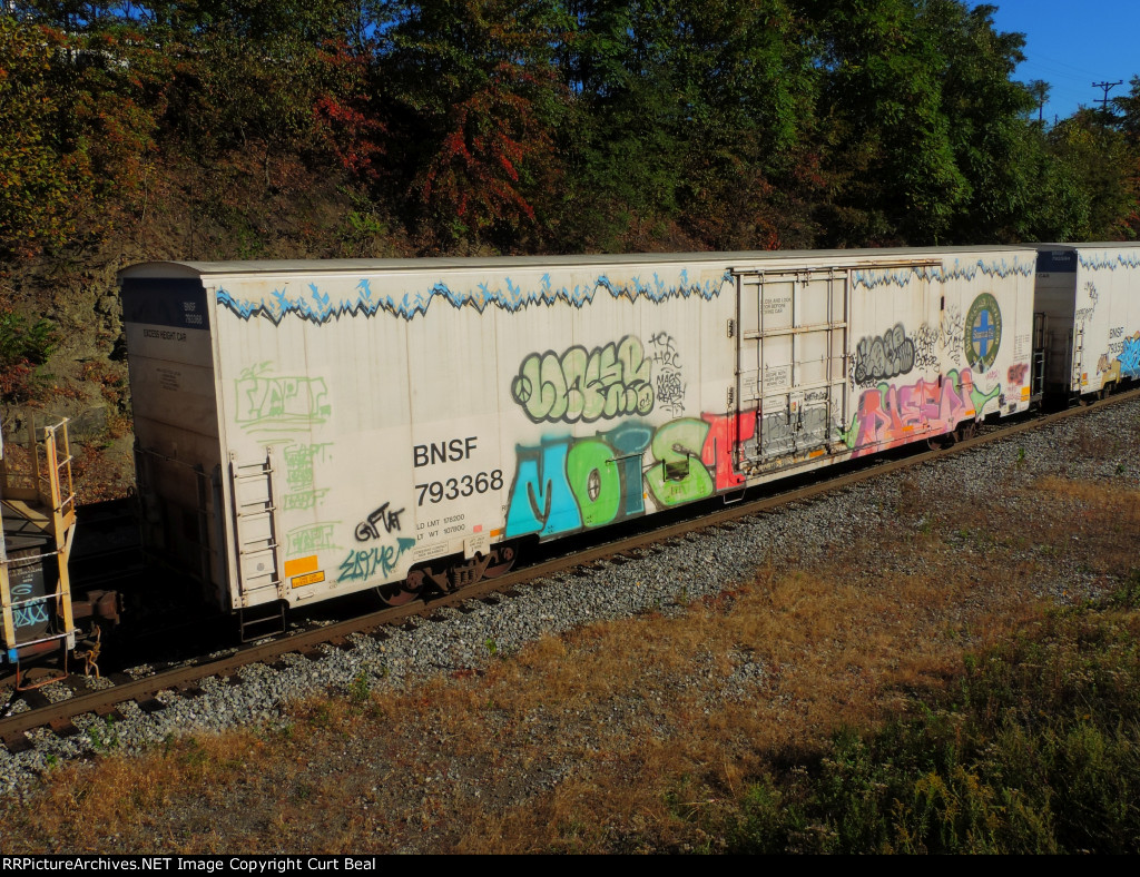 BNSF 793368