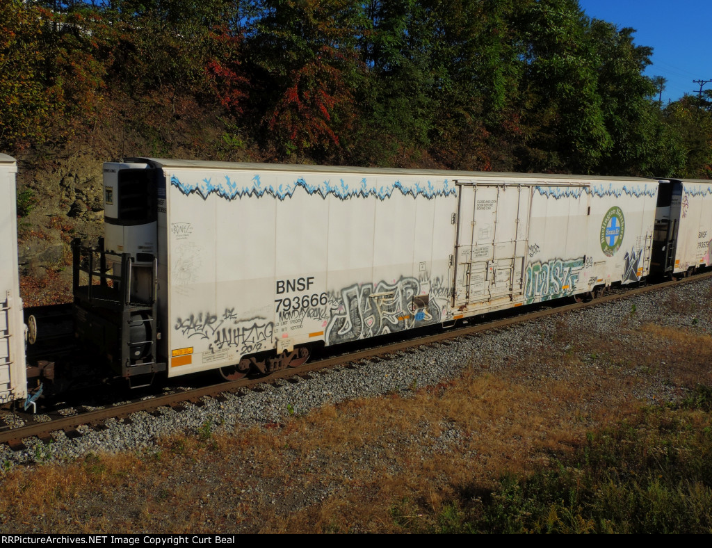 BNSF 793666