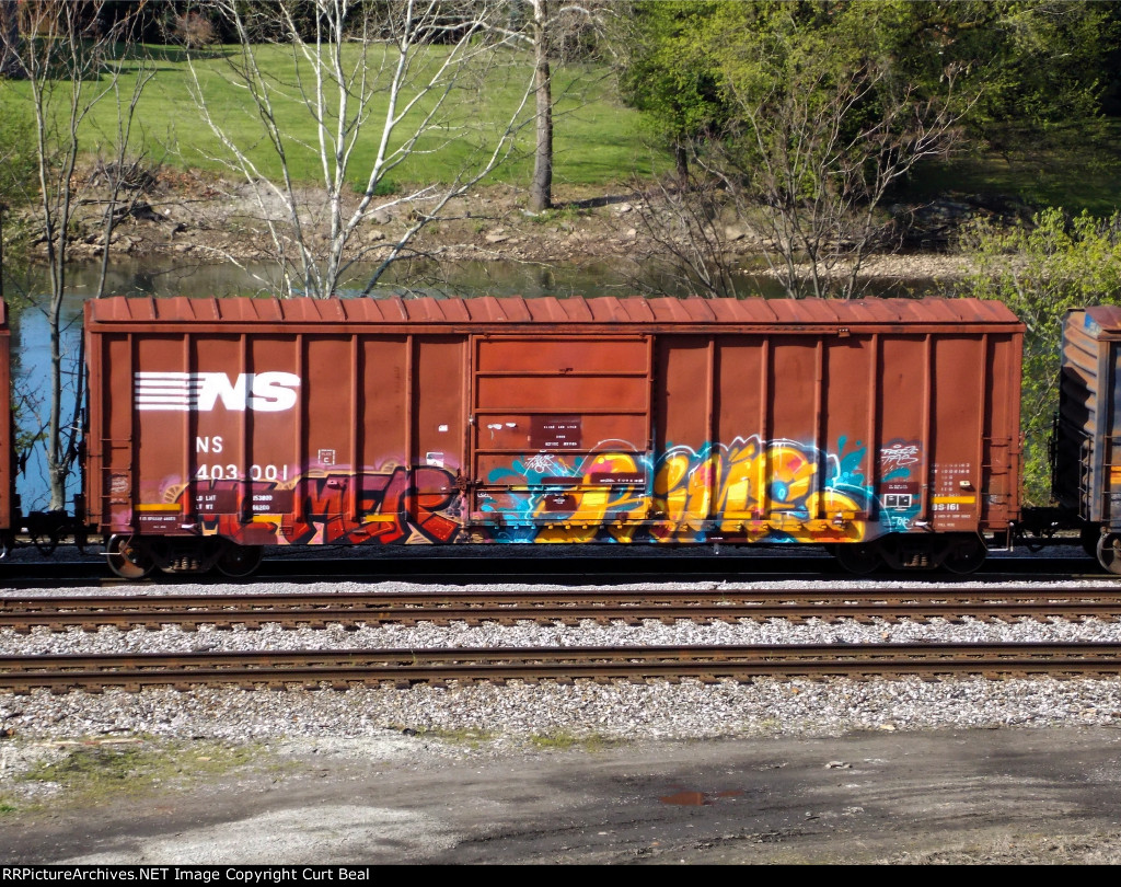 NS 403001