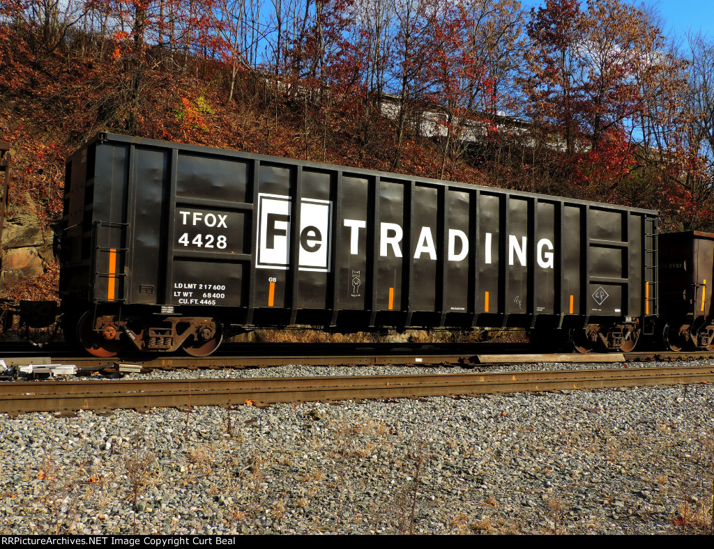 TFOX 4428