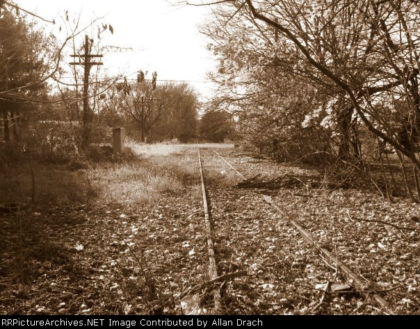 Untitled [www.rrpicturearchives.net]