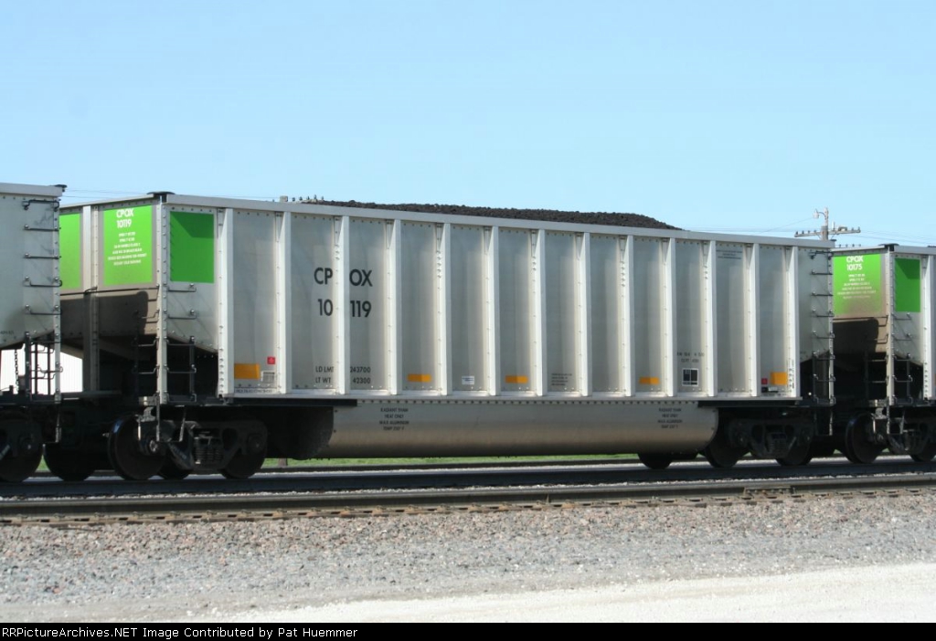 CPOX 10119