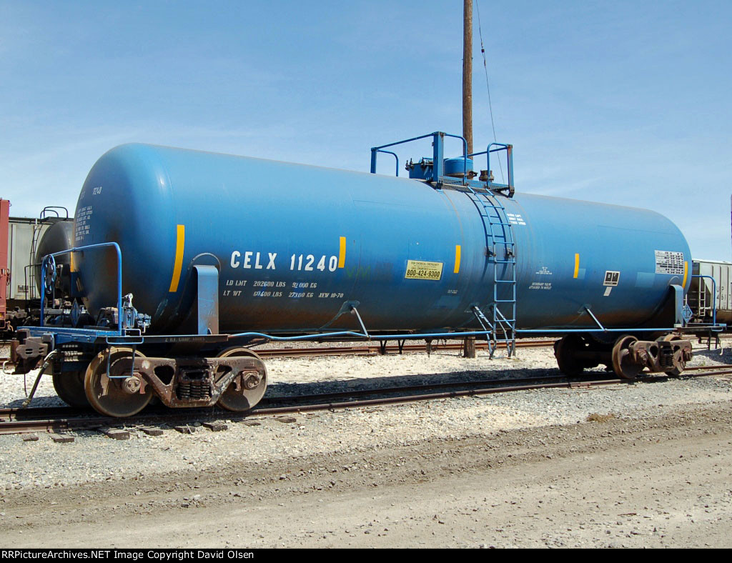 CELX 11240