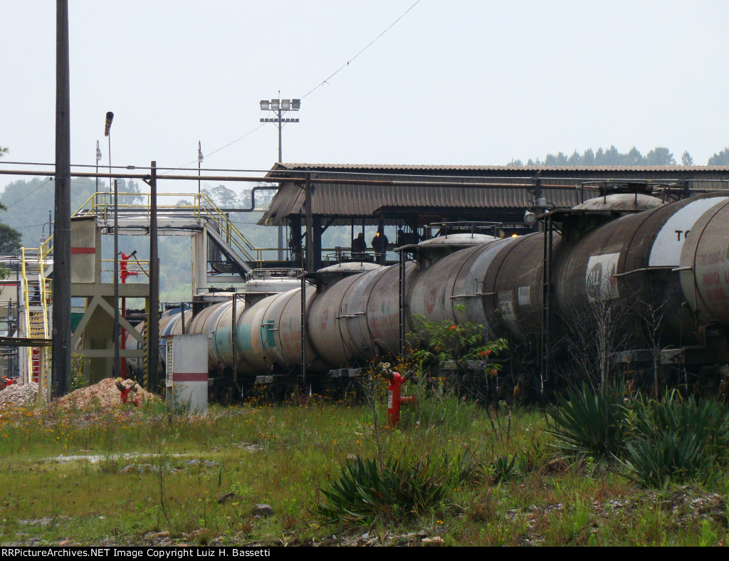 Untitled [www.rrpicturearchives.net]