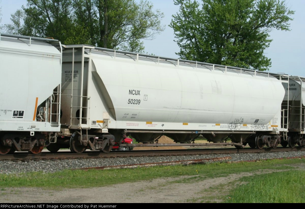 NCUX 50239
