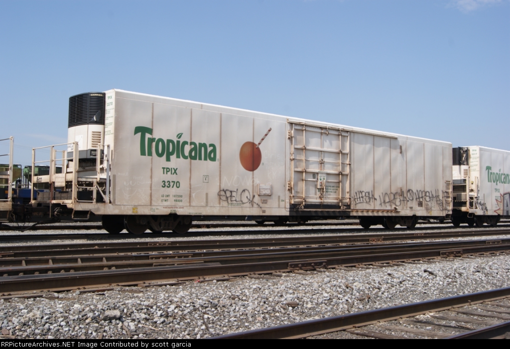 TROPICANA 3370