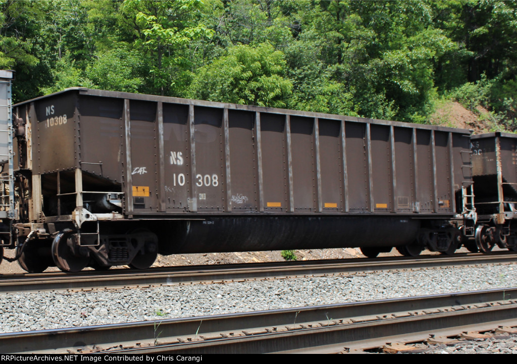 NS 10308