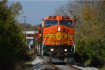 Pictures of NERR 568