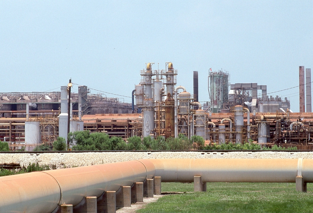 Kinder Morgan Bulk Terminal?