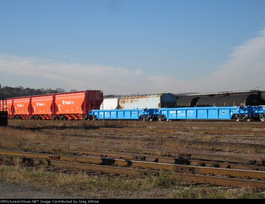 New double stack cars marked DBLSTK with Arabic lettering and POTX ...