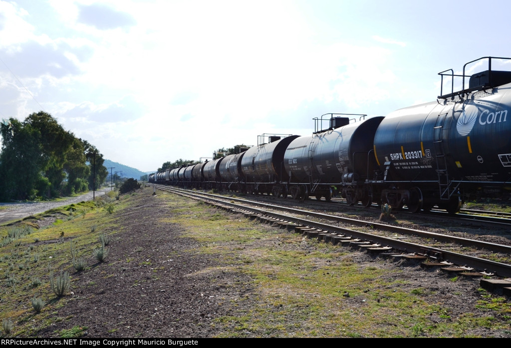 Tank cars on the yard
