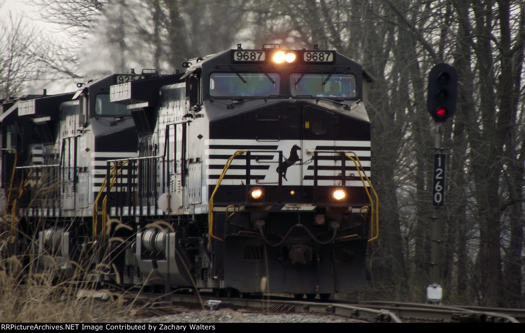 NS 9687