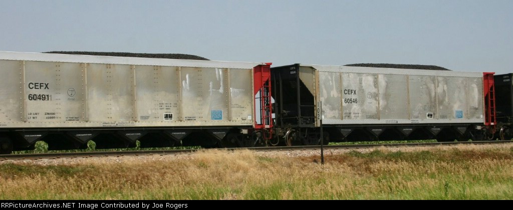 CEFX 60491