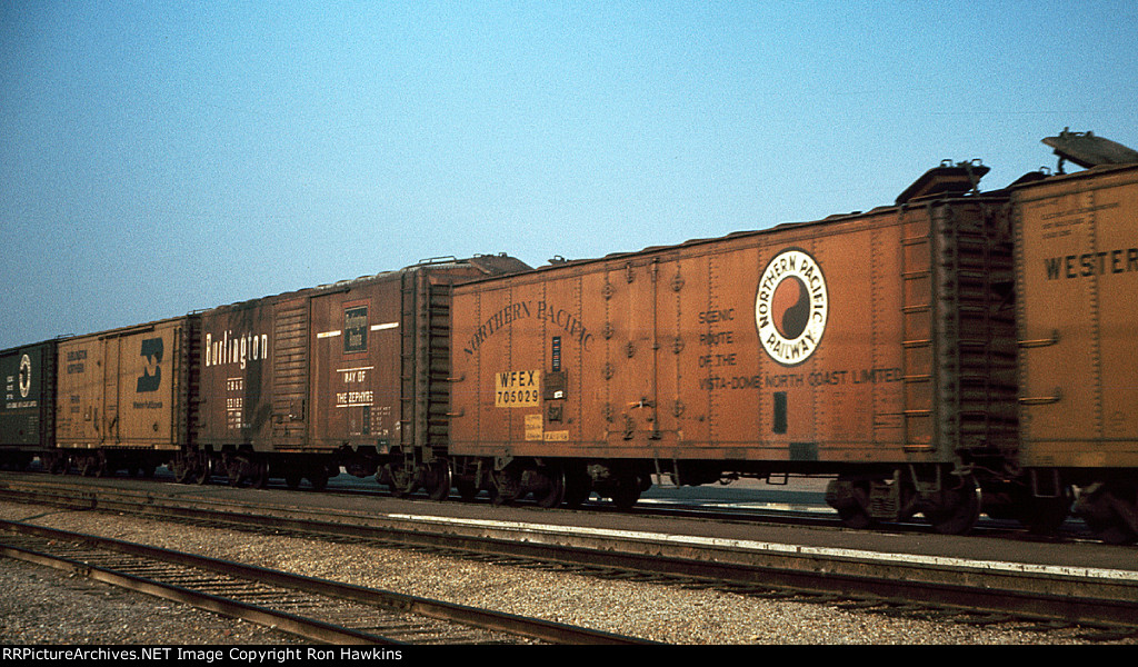 WFEX 705029