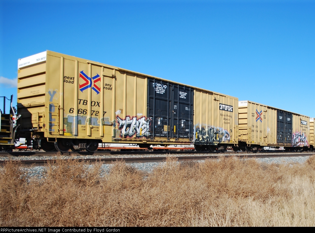 TBOX 666727 and TBOX 660462