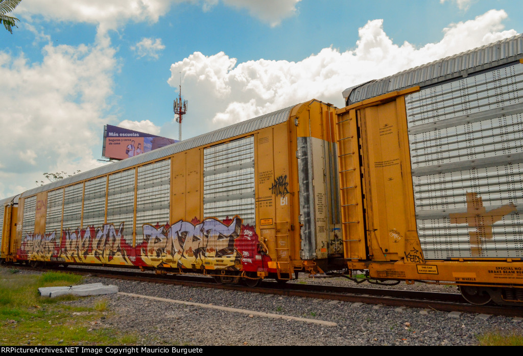 TTGX CN Multi-Max Autorack