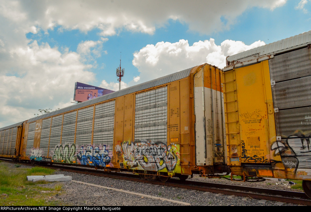 CTTX CN Multi Max Autorack