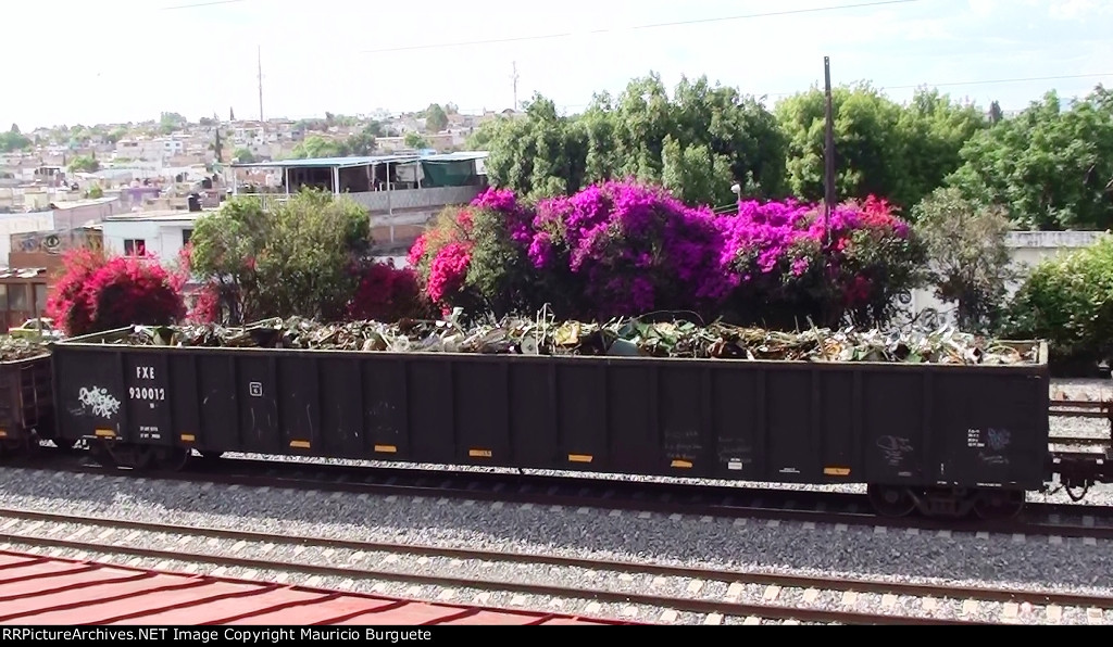 FXE Gondola