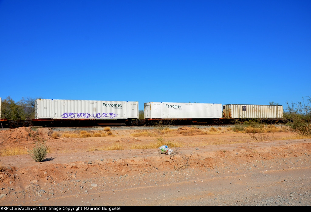 TTRX Spine Car with Ferromex Containers