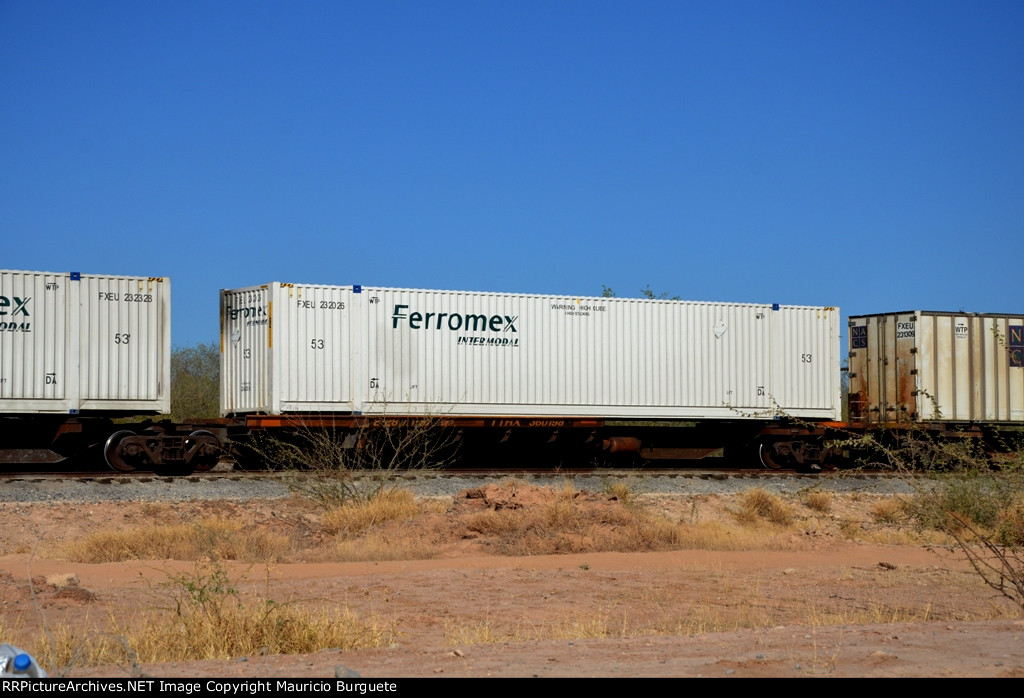TTRX Spine Car with Ferromex Container