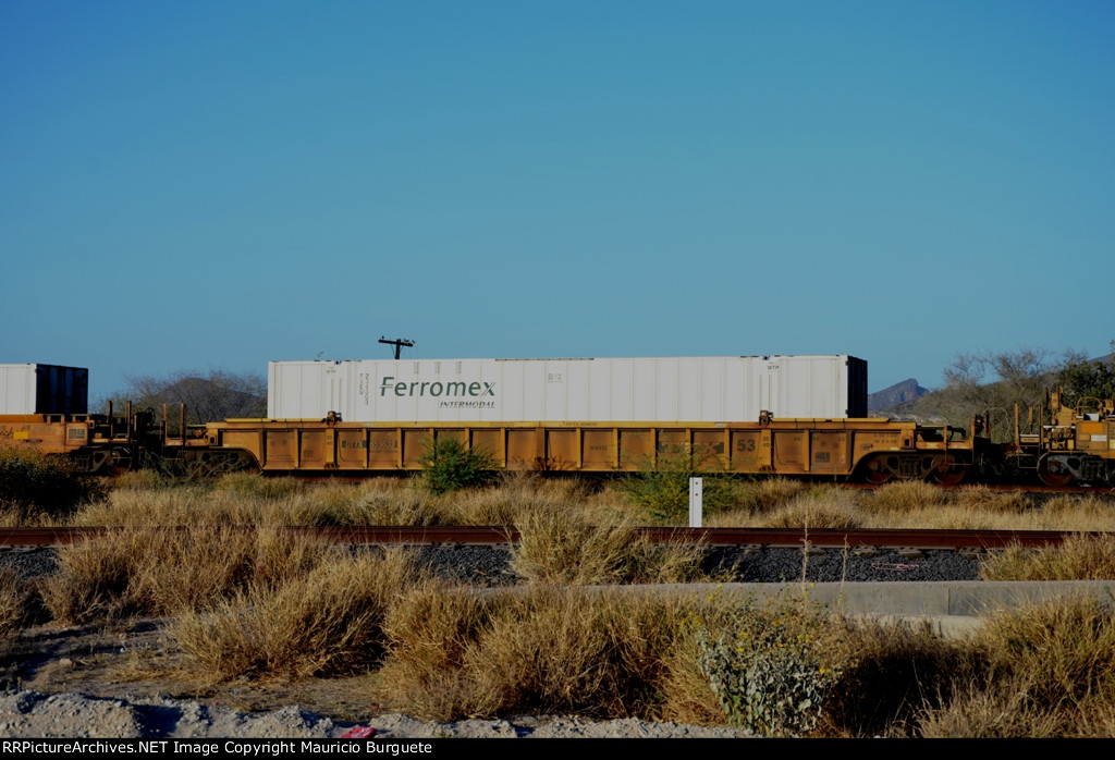 DTTX Stack car with Ferromex container