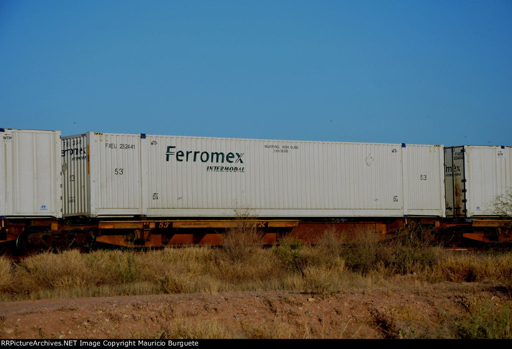 TTAX Spine Car with Ferromex container (new version)