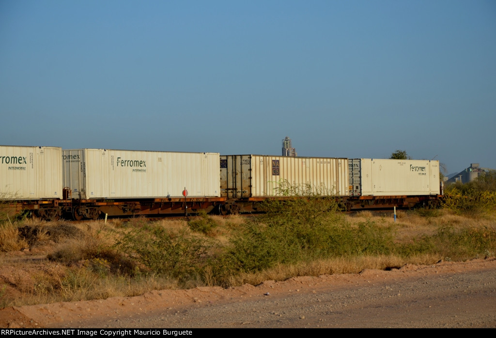 TTRX Spine Car with Ferromex Containers