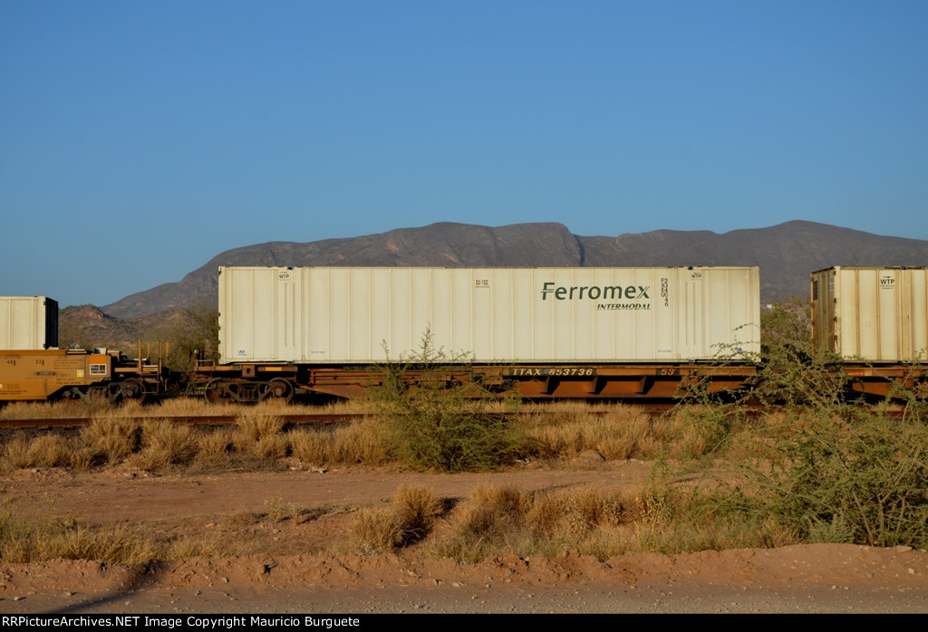TTAX Spine Car with Ferromex container