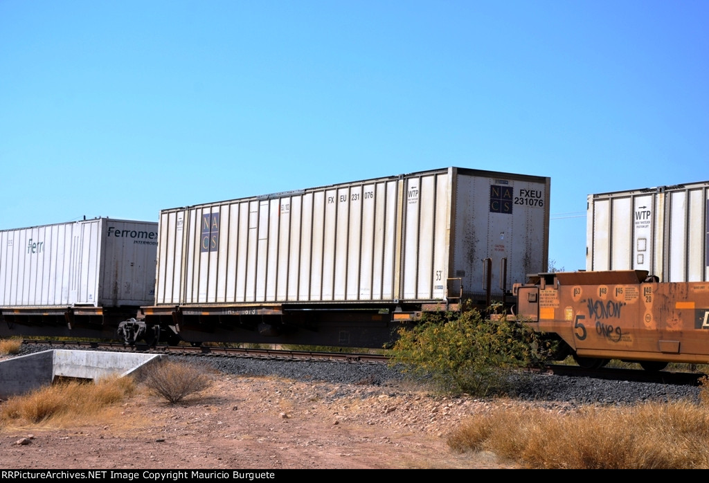 TTRX Spine Car with Ferromex Container