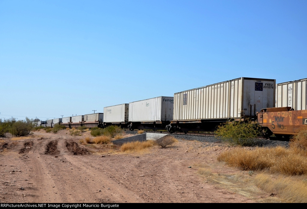 TTRX Spine Car with Ferromex Containers