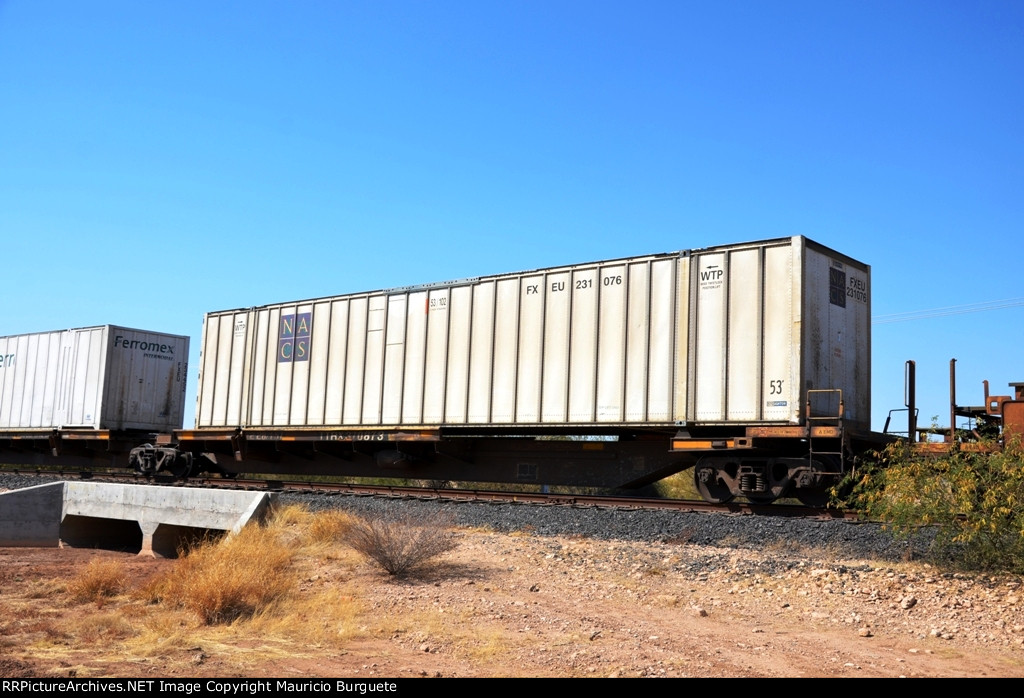 TTRX Spine Car with Ferromex Container