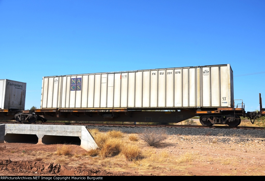 TTRX Spine Car with Ferromex Container